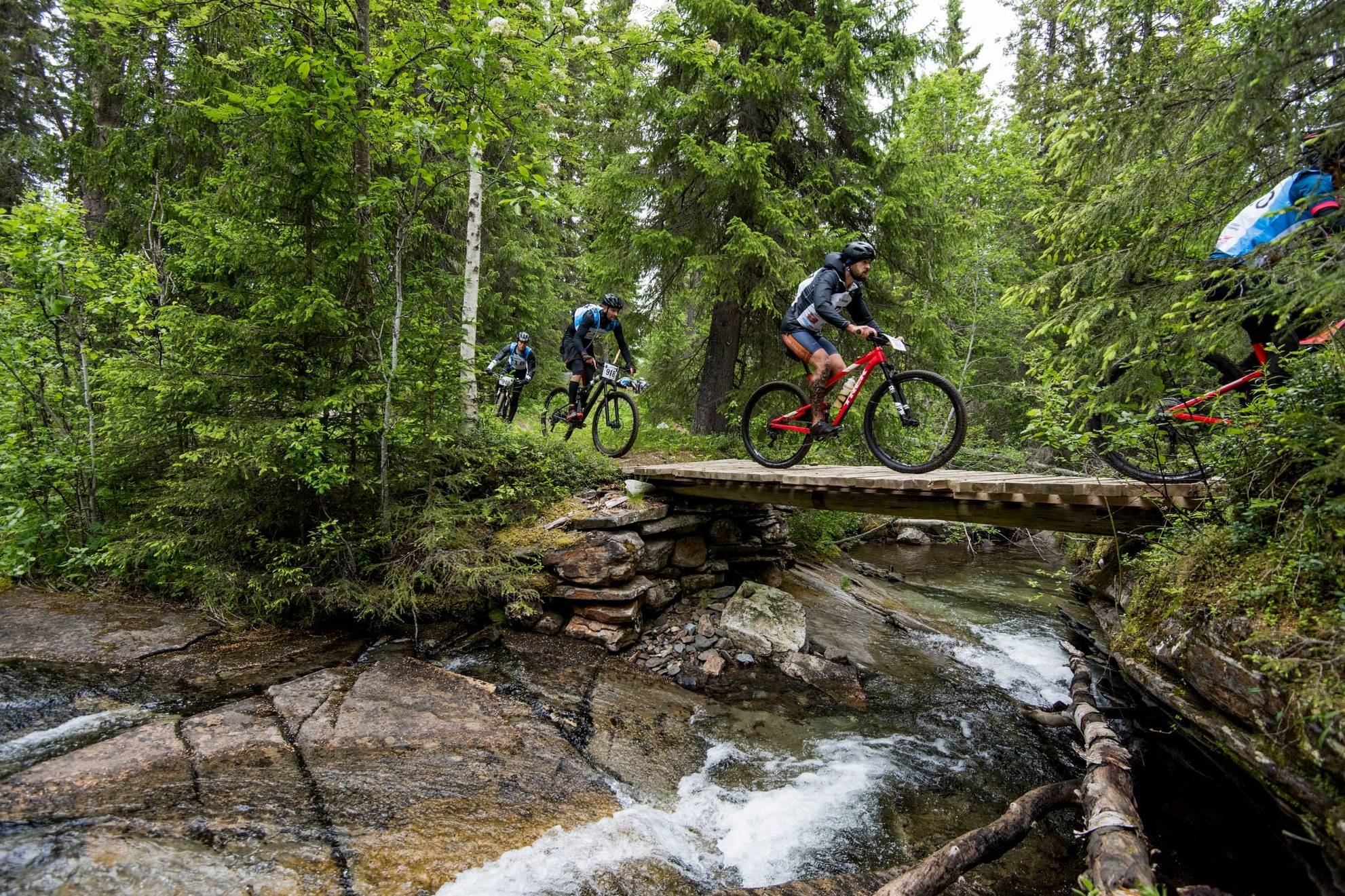 Åre Extreme Challenge 2019 (ÅEC)